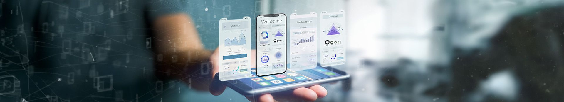 Services - Robust Software Development, Implementations and IT Services